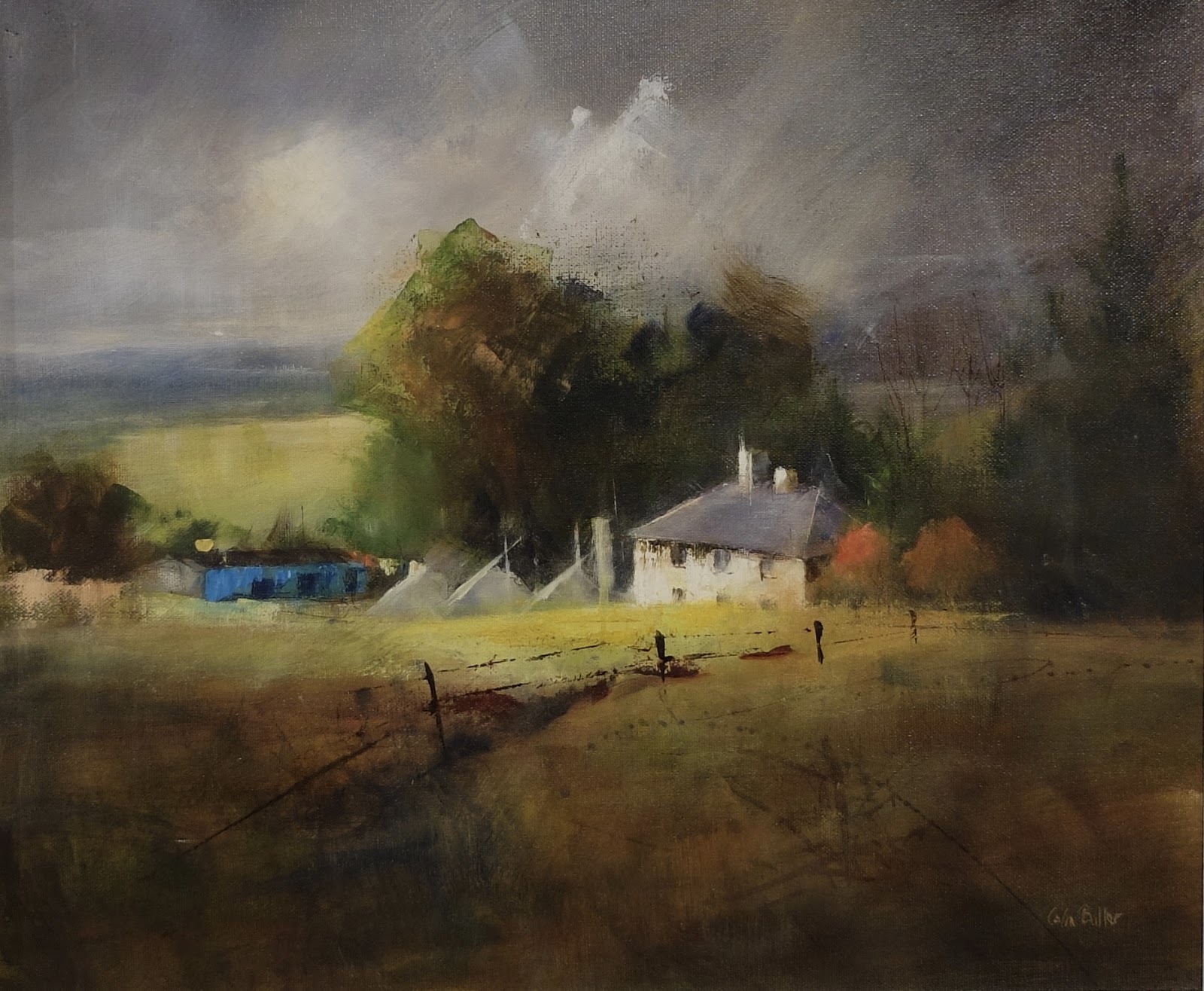 Colm Butler - Artist