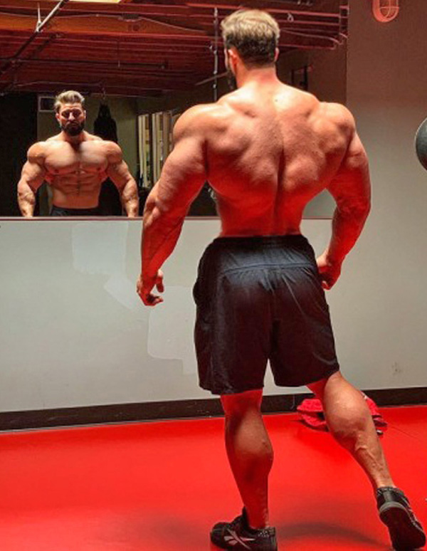 BUILT by tallsteve: Big Broad Back