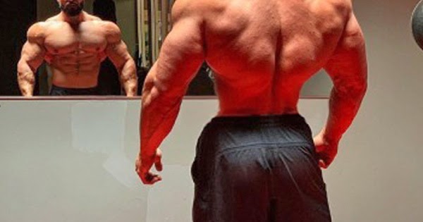 BUILT by tallsteve: Big Broad Back