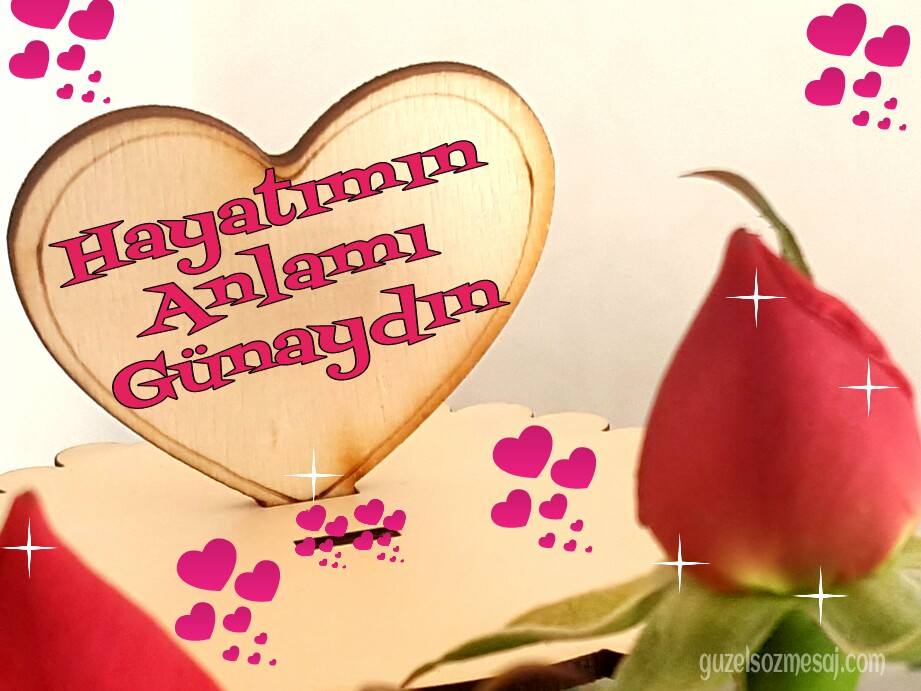 Hicri Günaydın Aşkım Sahnesi - özdemir asaf aşk sözleri