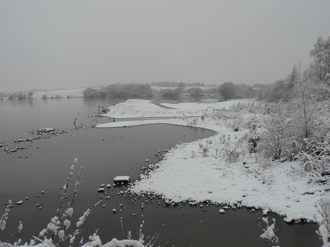 A Field Notebook: Pennington Flash