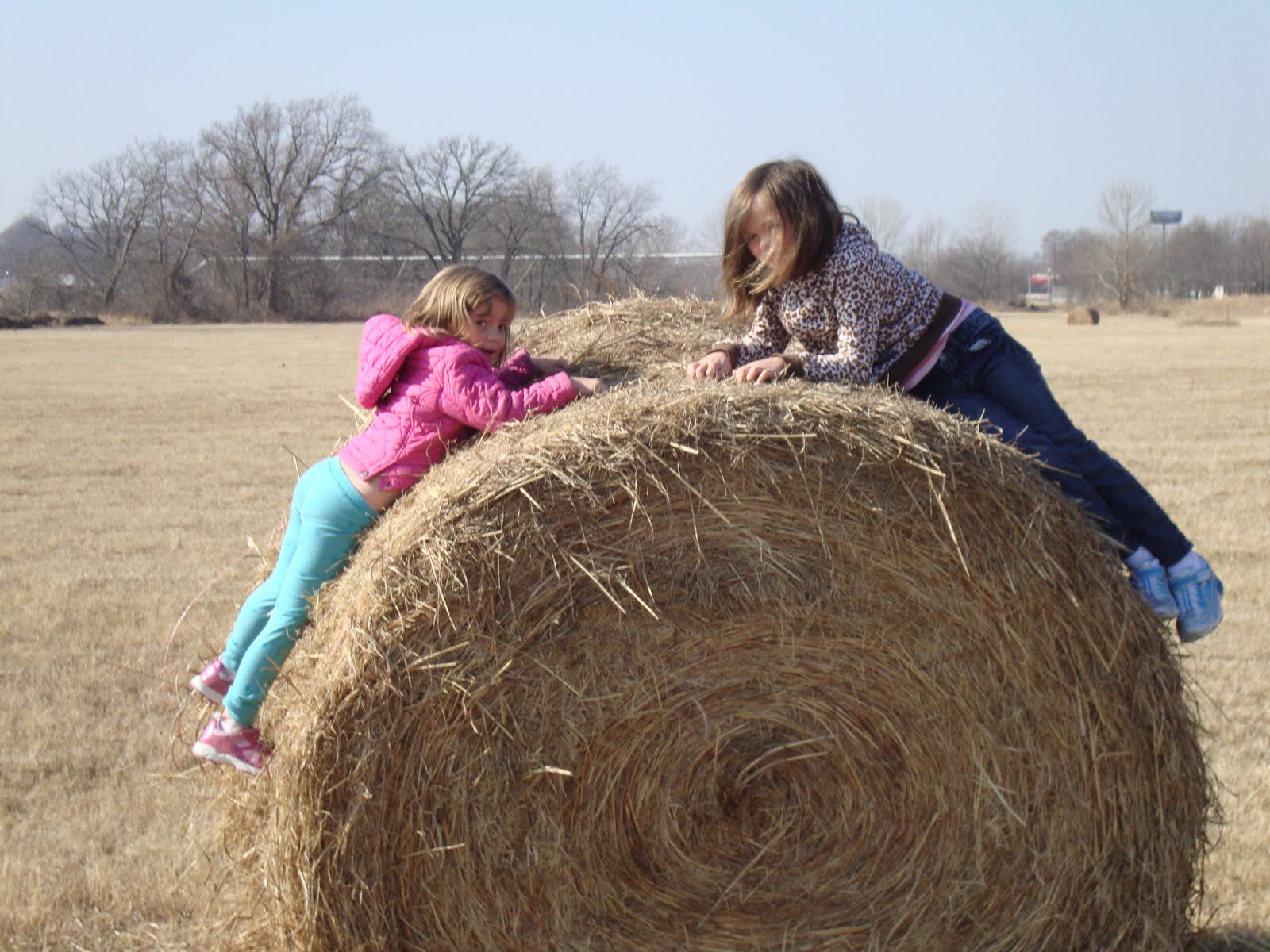 Local Farm Girl: Hay!