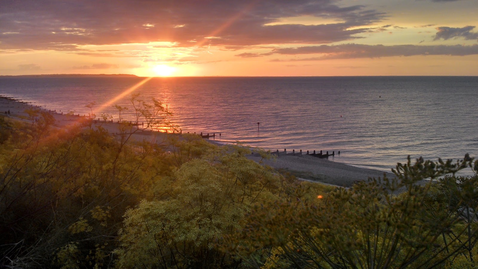 People to Place: Light and Illumination.