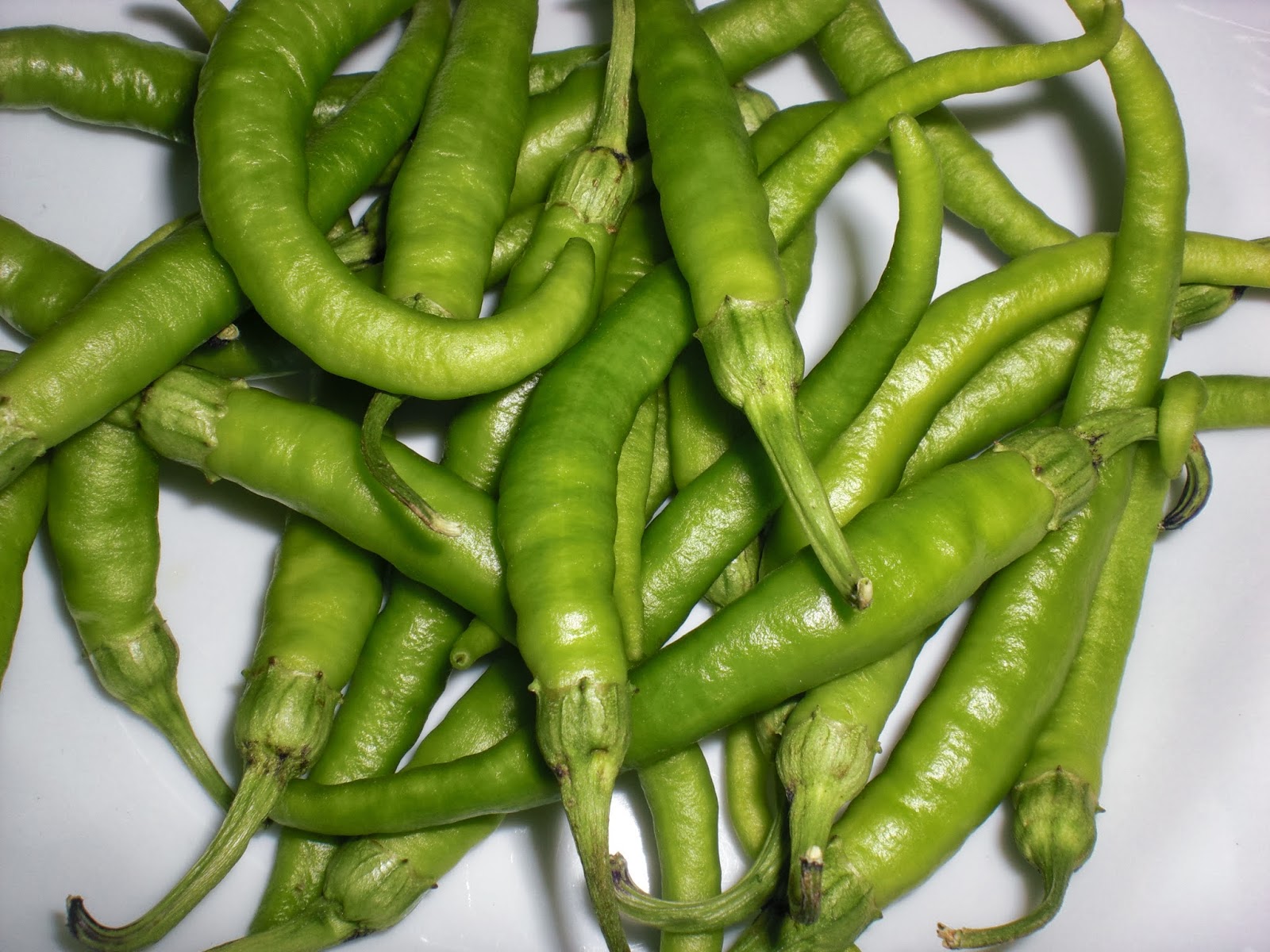 Perfumes y luces de Extremadura: Guindilla.