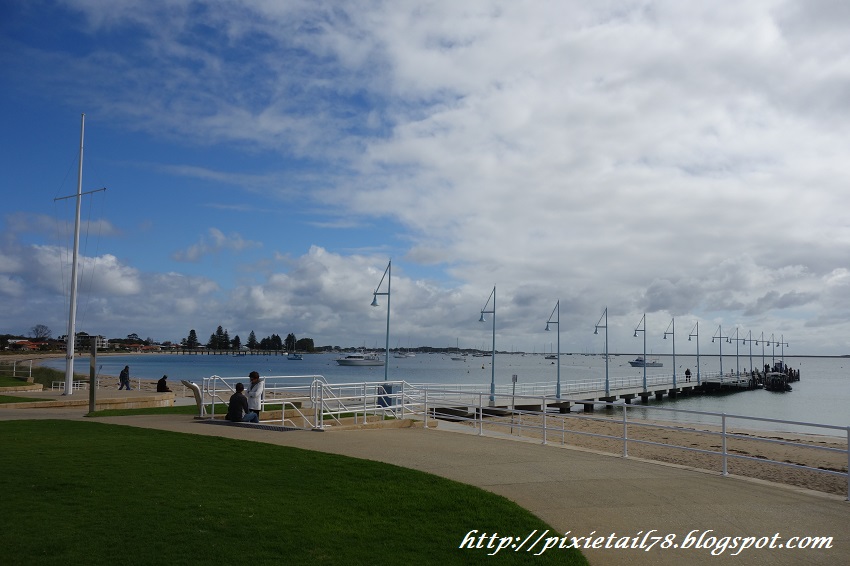 Steel Tree @ The Foreshore - Perth, Western Australia