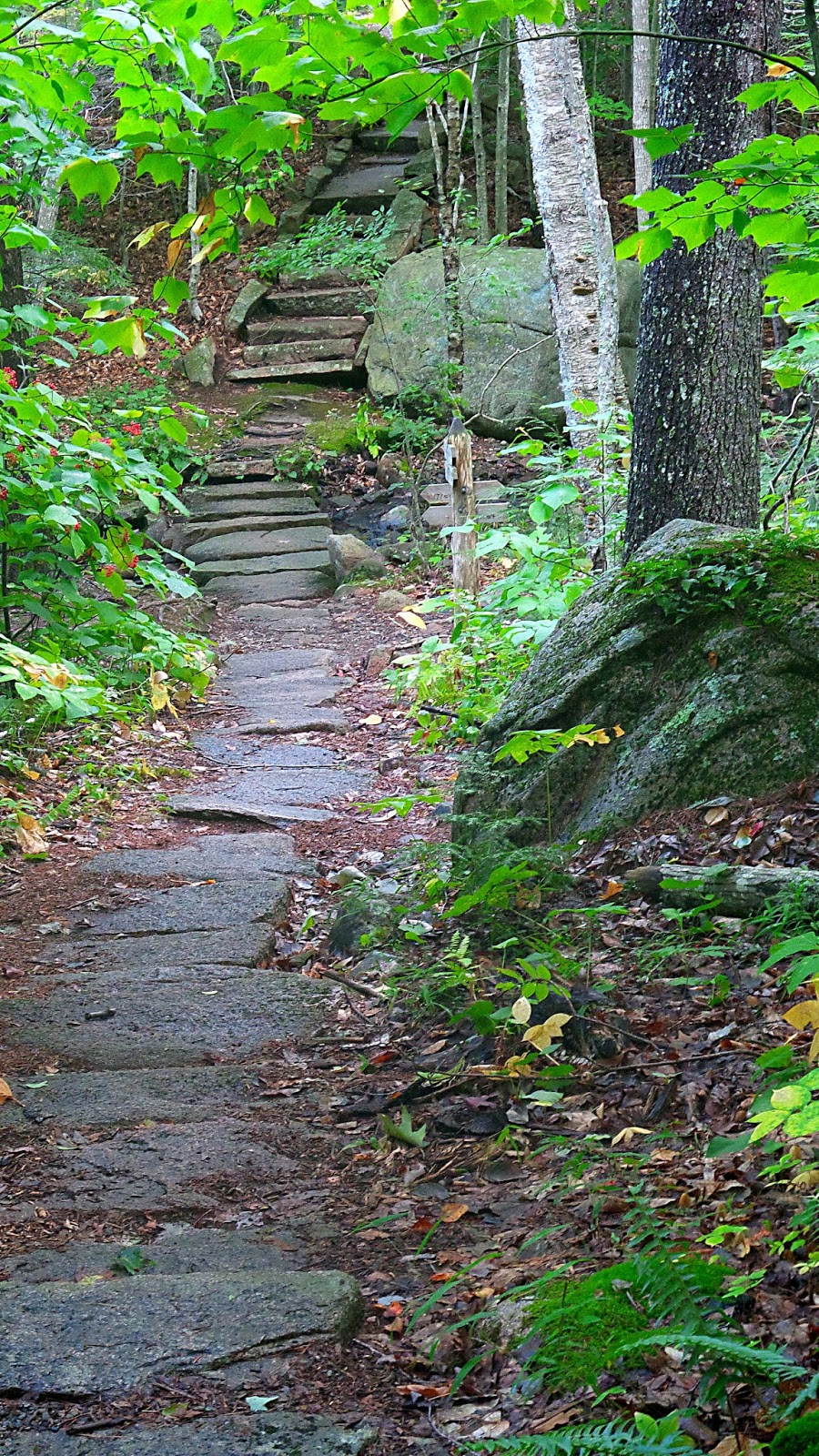 HIKING TRAILS OF ACADIA NATIONAL PARK