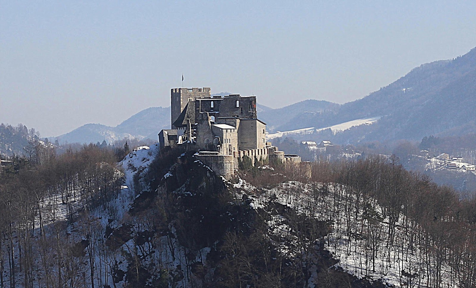 Luna chocolate lab sweeter than a chocolate: Miklavški hrib