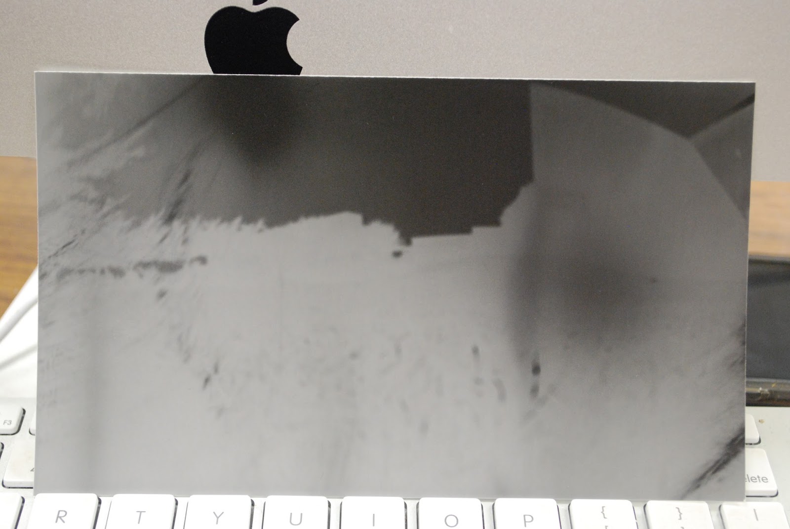 JillyBean's Photo World: Pinhole Negatives and Positives