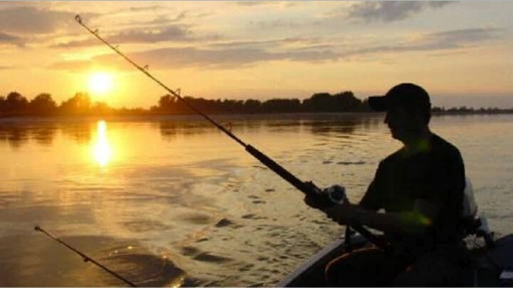 [Wajib Tahu] 7 Point Penting Memancing Ikan Besar di Sungai JejakSemut