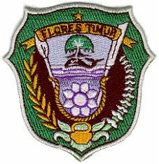 BLOG LARANTUKA: Profil Kabupaten Flores Timur