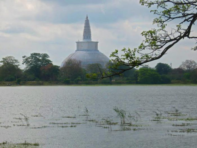 කාර් පිස්සුව : බසවක්කුලමේ වැව් බැම්ම සිහිකර ලියමි...