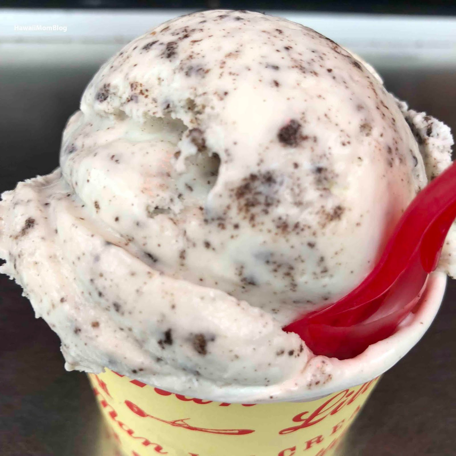 Hawaii Mom Blog: Visit Denver: Little Man Ice Cream