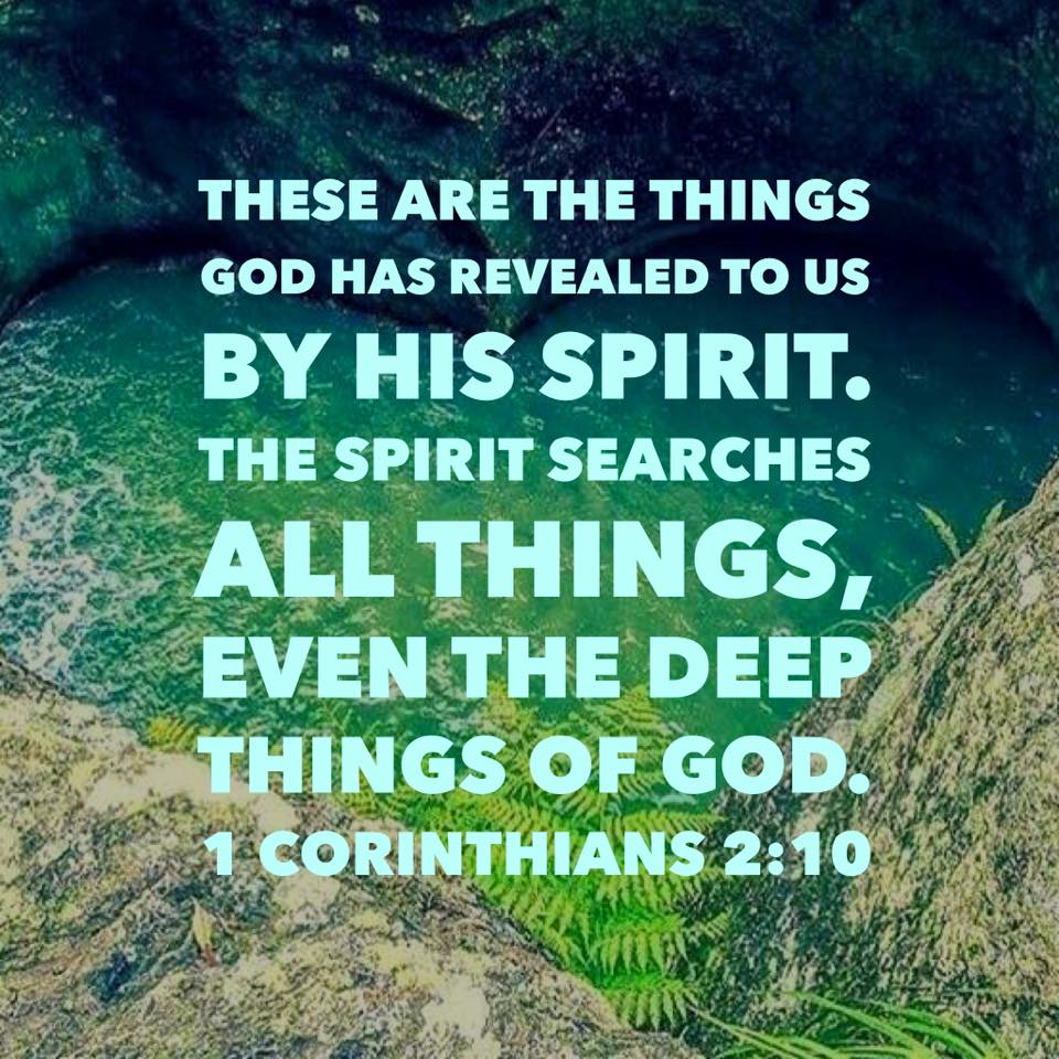 Growing Up In The Word : The Deep Things of God Revealed In Our Hearts