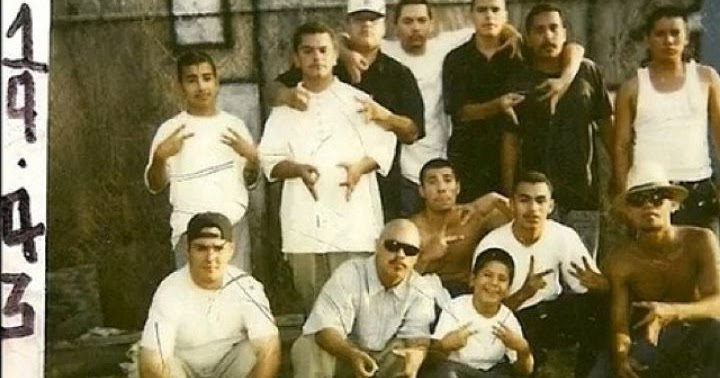 ¿que son los cholos?