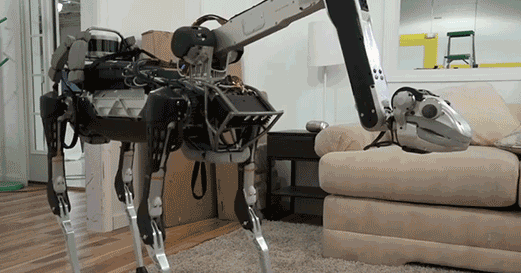 NEWS: Cheer up - this robot dog will do the dishes | The Test Pit