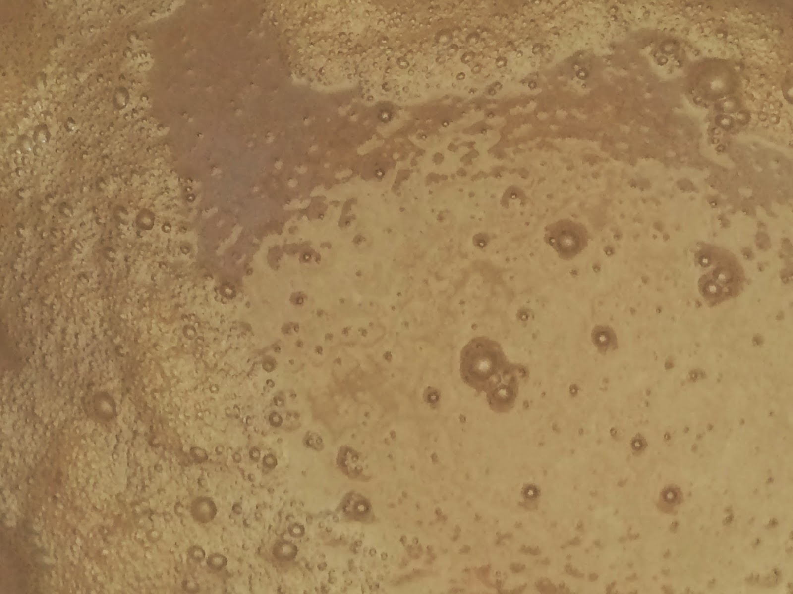 Go Green Farming Adopt Organic or Natural Methods: HOW TO MAKE PANCHAGAVYA