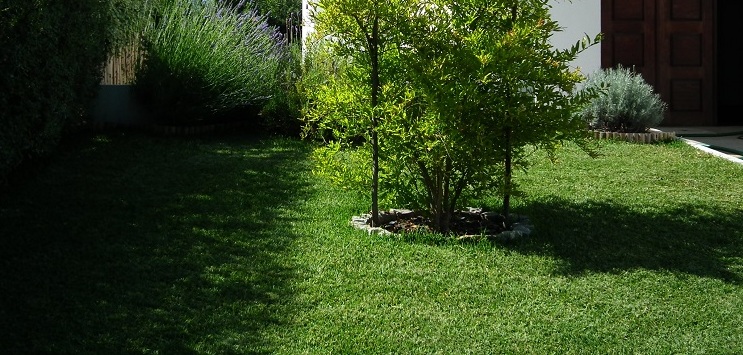 Bucólico Anónimo : As ervas e o relvado