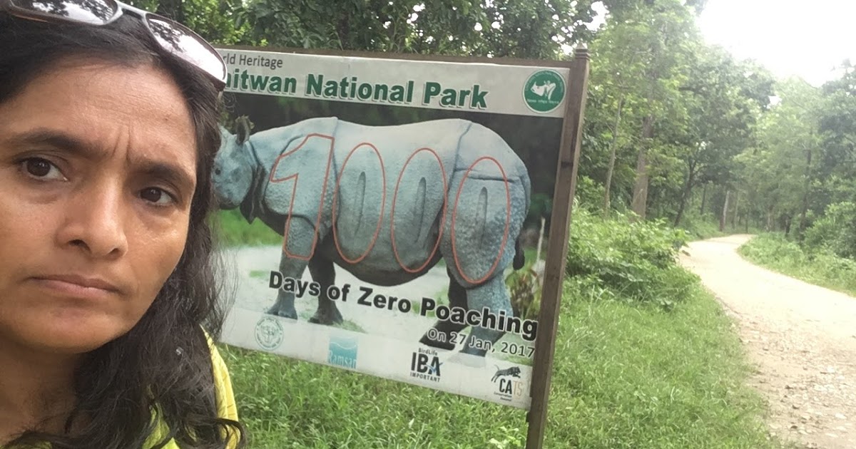 Radha Paudel: Flood Observation and Support at Madi Chitwan, September 2017