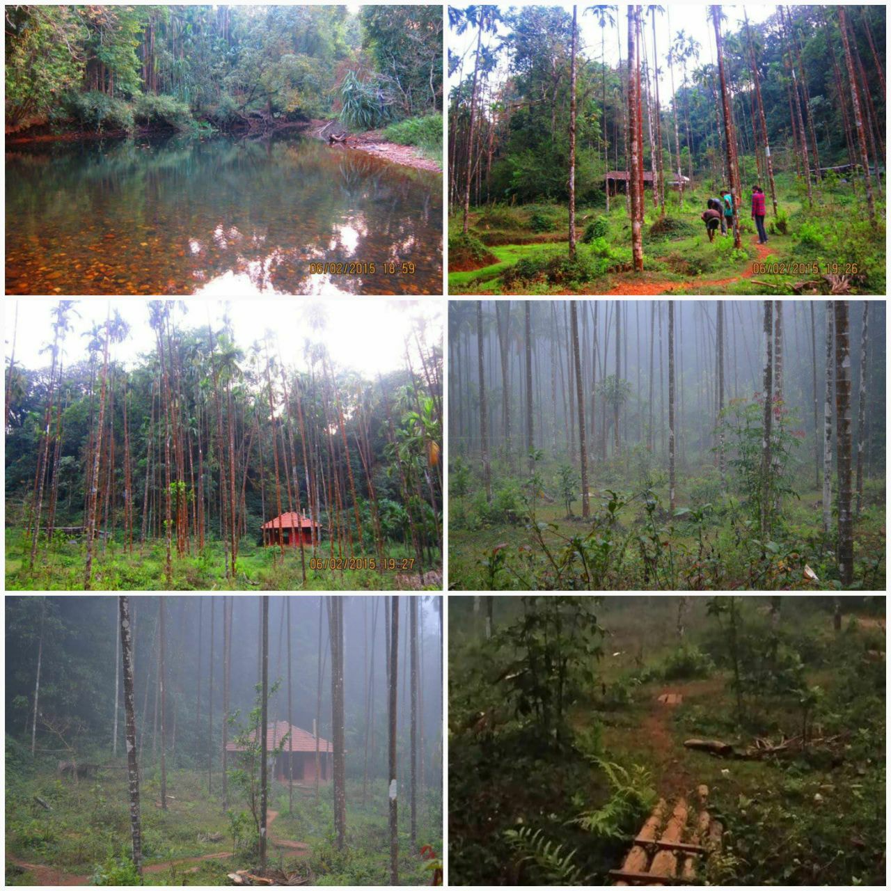 Agumbe karnataka ,Rainforest Research Station | TravelUFO । Musafir ...