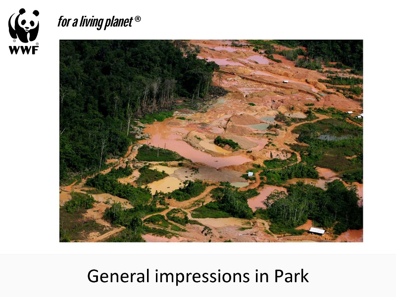 Goudwinning in Suriname: 08/21/13