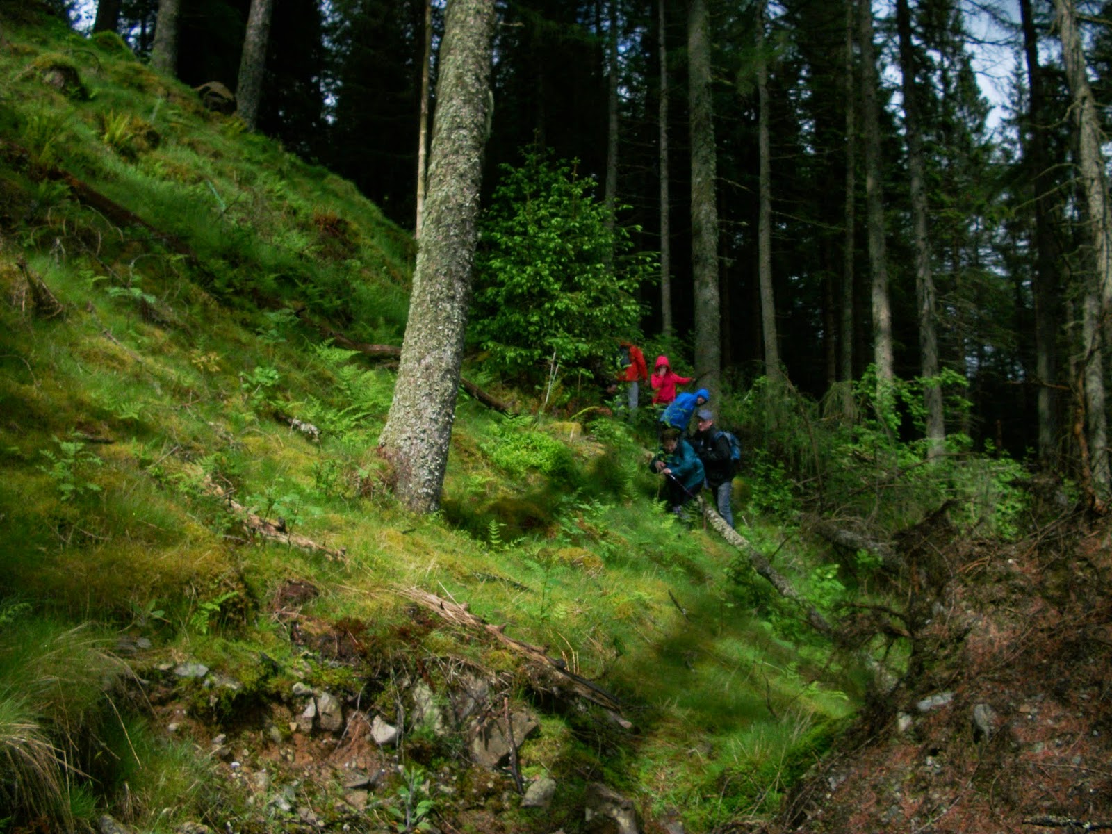 Las Ramblas Ramblers: Strathyre Forest Walk