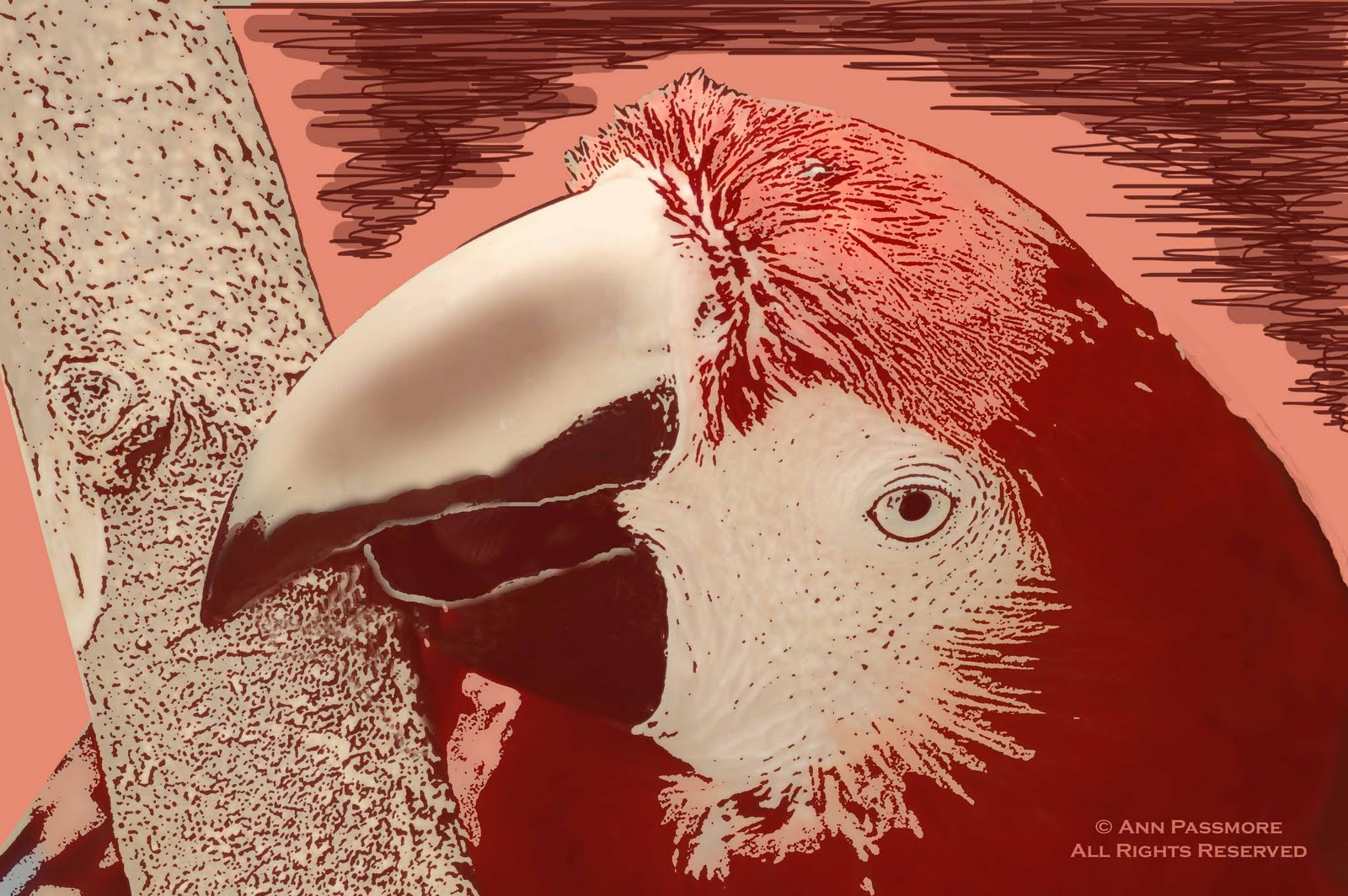 Image Artistry Linocuts In Photoshop Image Artistry Linocuts In Photoshop