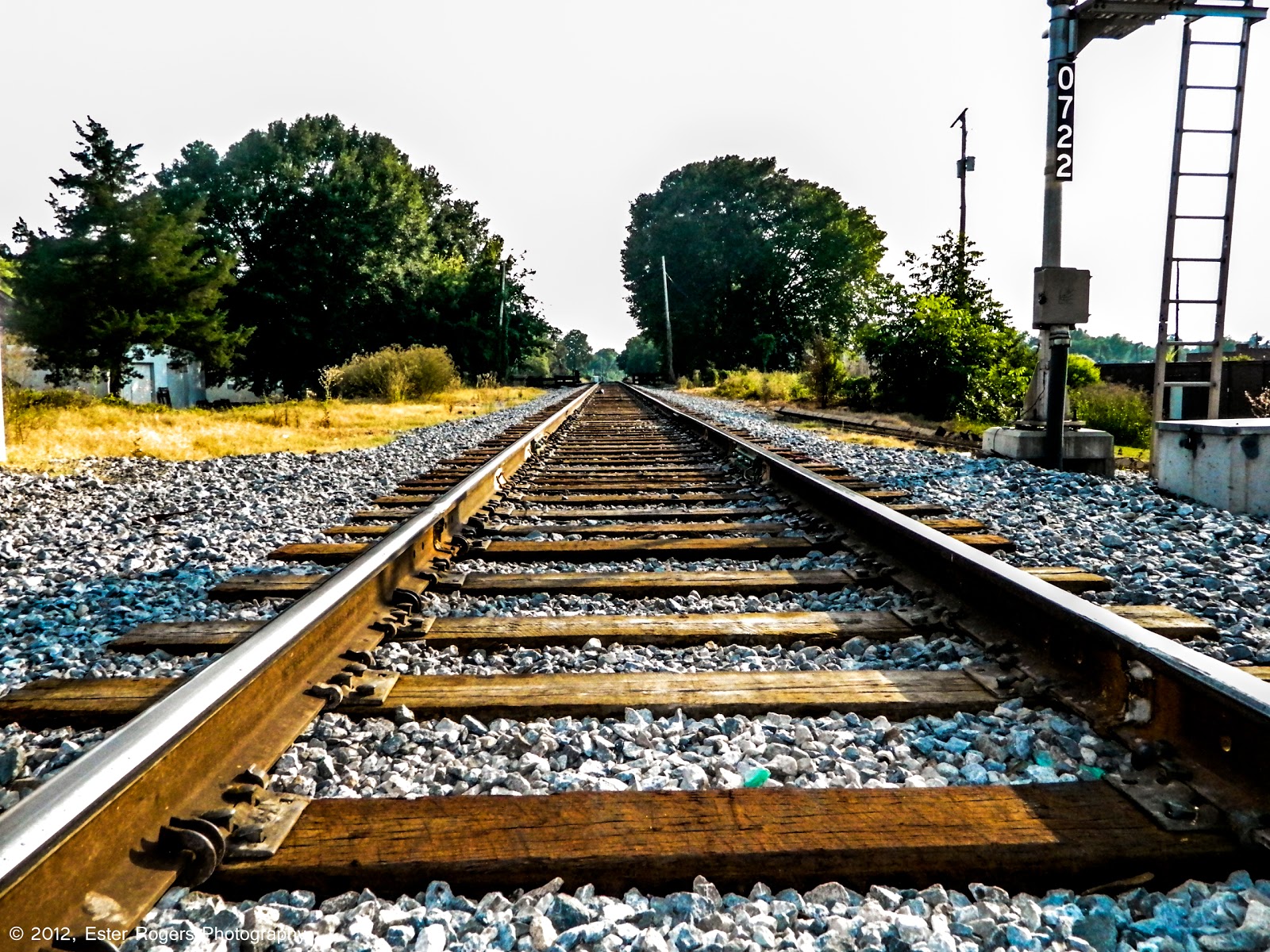 Ester Rogers Photography: Old Train Bridge and Tracks