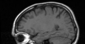 Difference Between Thinker and Feeler - PsychTronics