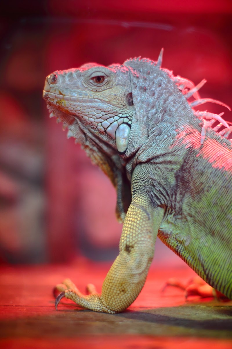 Blog sobre fotografía y viajes del fotógrafo Iñigo Escalante: Planes ...