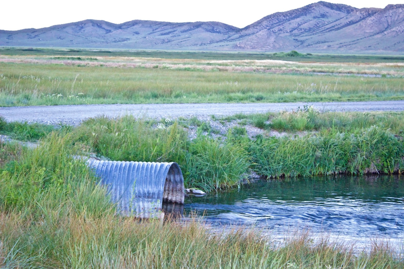 Erik’s Fly Fishing Blog: Ruby Marsh