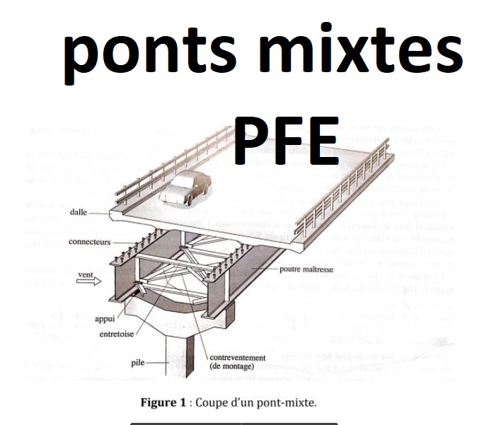Exemple de PFE sur les ponts mixtes en acier et béton armé