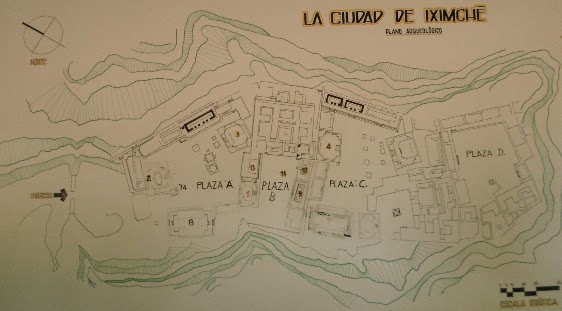 SACBÉ: Camino de aprendizaje: IXIMCHÉ: Árbol de maíz