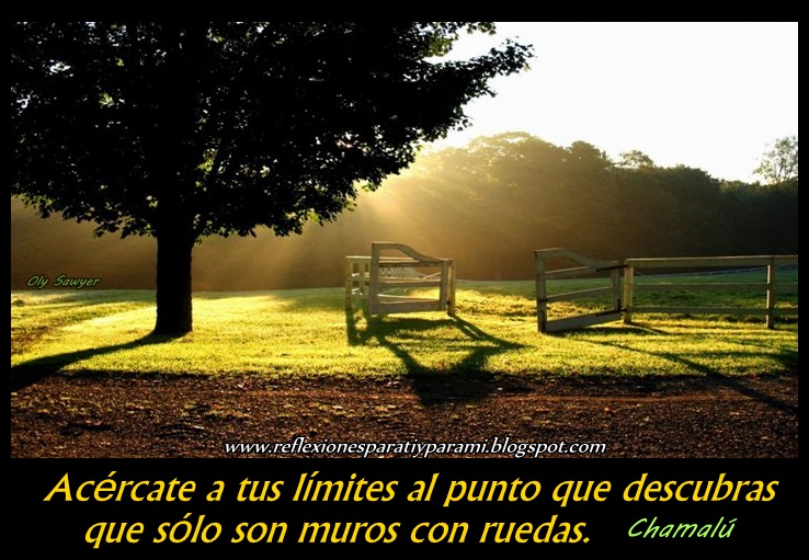 Reflexiones para ti y para mi punto com - Imagui