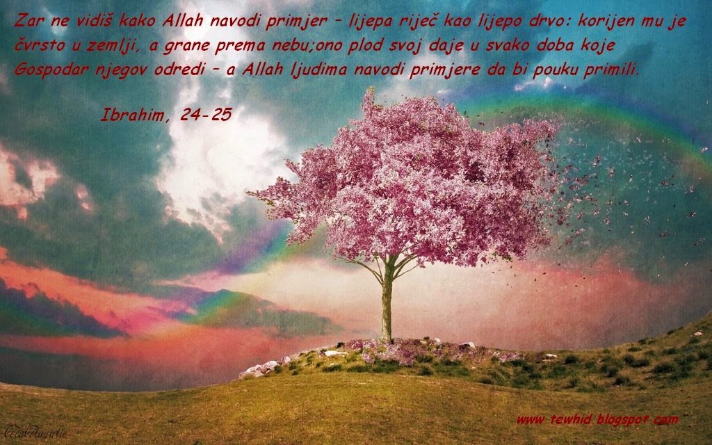 Citati: Lijepa riječ...