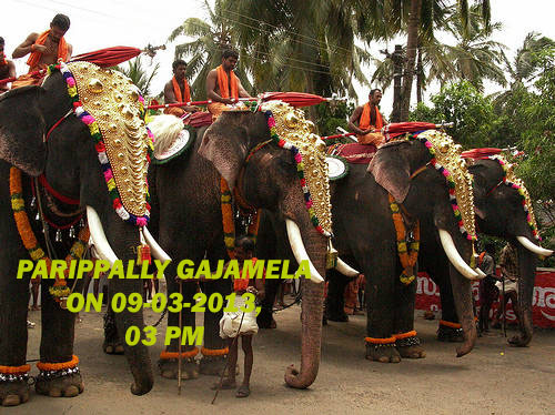 PARIPPALLY GAJAMELA 2013