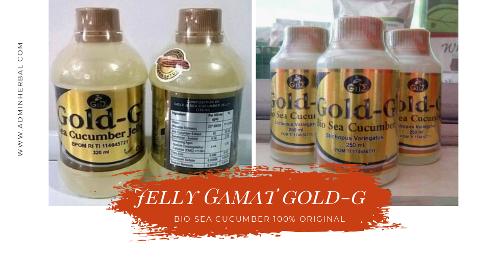 Admin Herbal Terpercaya: Jelly Gamat Gold-G Bio Sea Cucumber Original