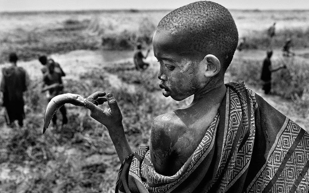 Sebastiao Salgado Genesis | Sebastiao salgado, Immagini, Fotografia
