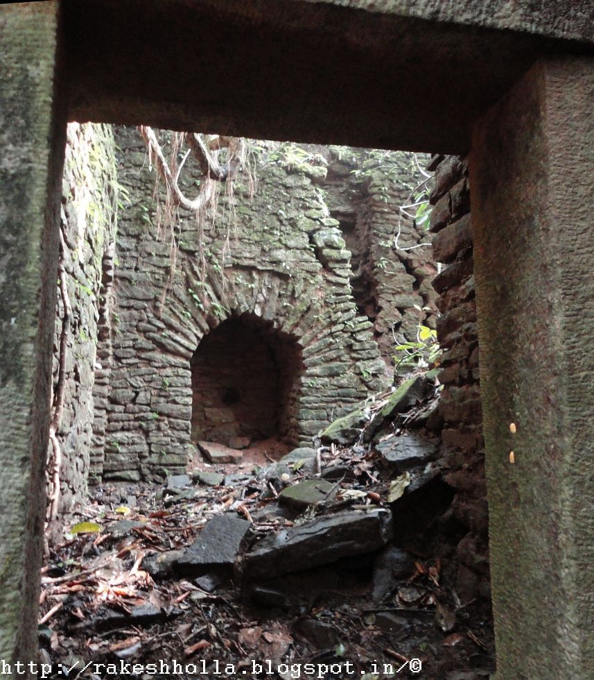 The Voice of Greenery - Trekking and Travelling in Western Ghats: Kote ...