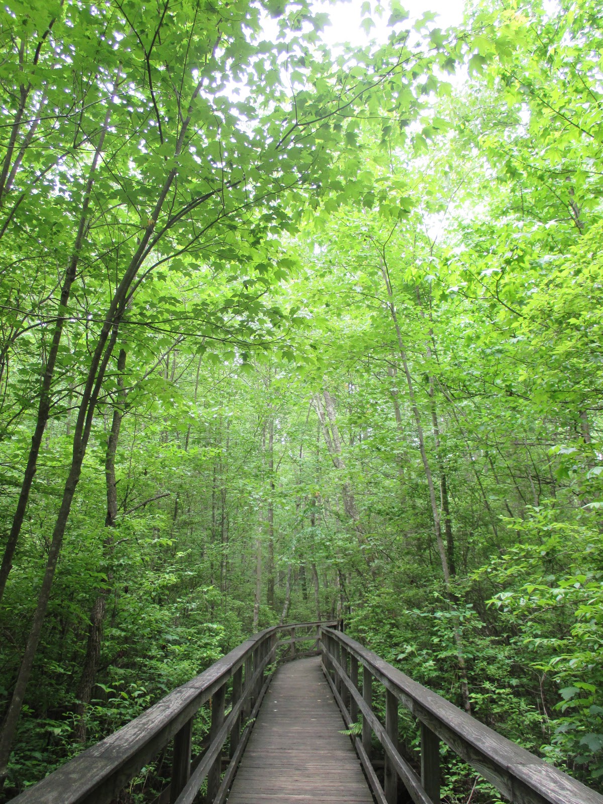 Musings of a Literary Wanderer: Great Swamp National Wildlife Refuge
