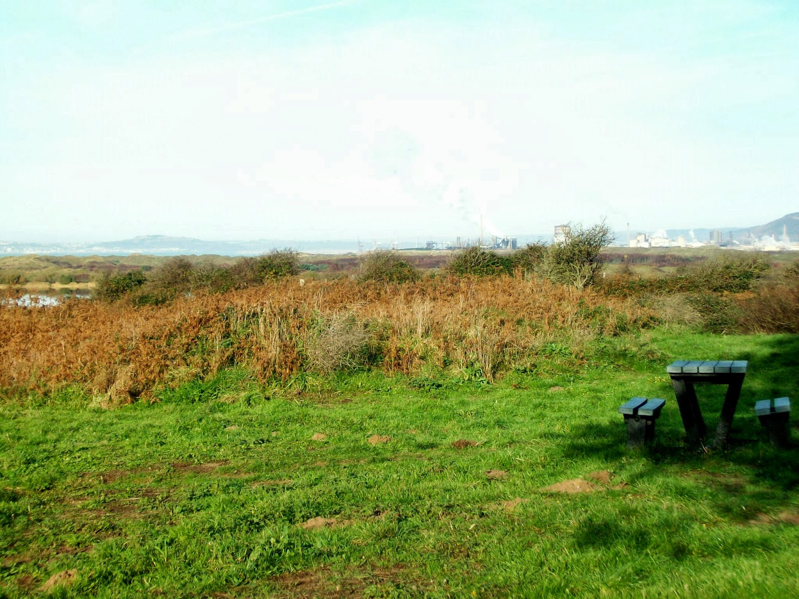 Random Daily Walks: Kenfig Burrows