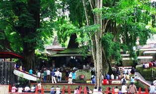 GUA MARIA SENDANGSONO - JOGJAKU.WEB.ID