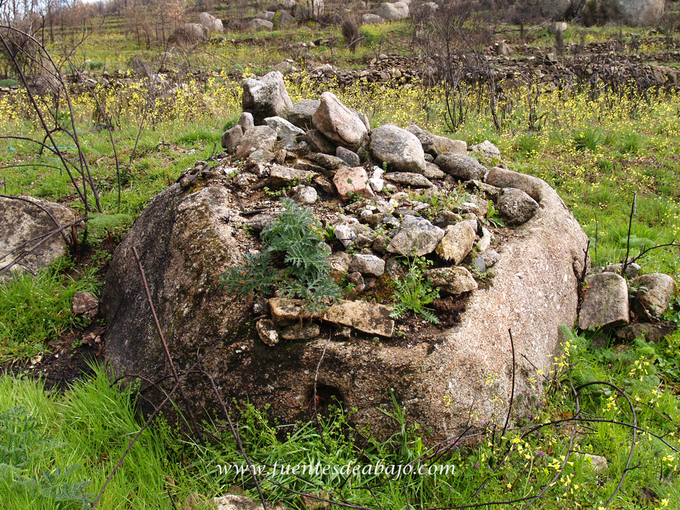 Desde Fuentes de Abajo: ACERCA DE LOS LAGARES RUPESTRES