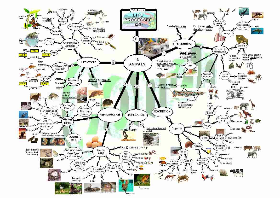 Learning Science Is Fun: Mind Maps