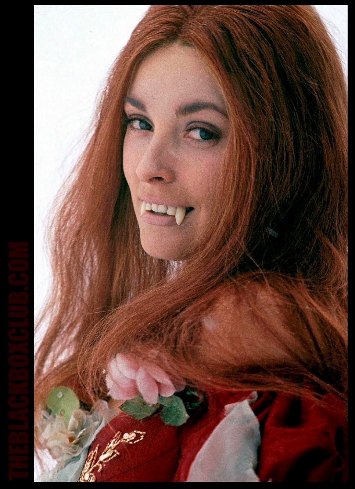 The Black Box Club: SHARON TATE AND ROMAN POLANSKI: DANCE OF THE ...