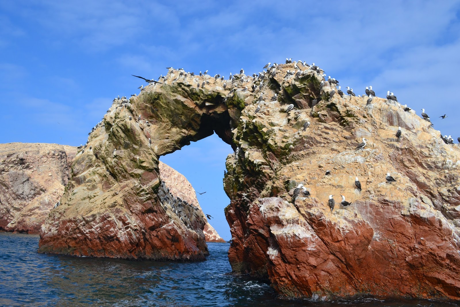 DESTINOS TURISTICOS DEL PERU: Islas ballestas(Paracas)