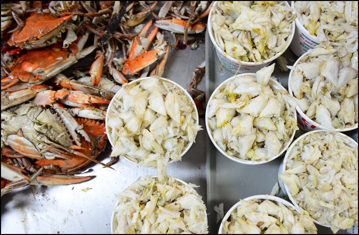 What is Pasteurized Crab Meat? | Pasteurized Crab Meats, Pasteurized ...