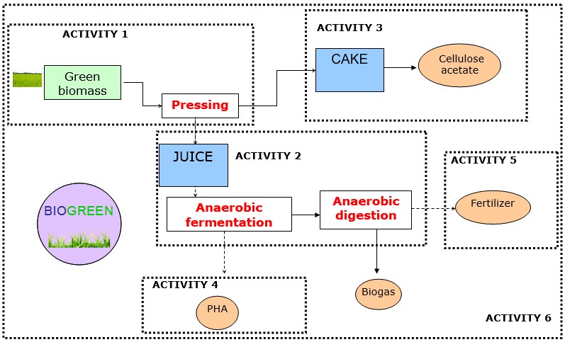 BIOGREEN Project – Laying the foundations for the first green ...