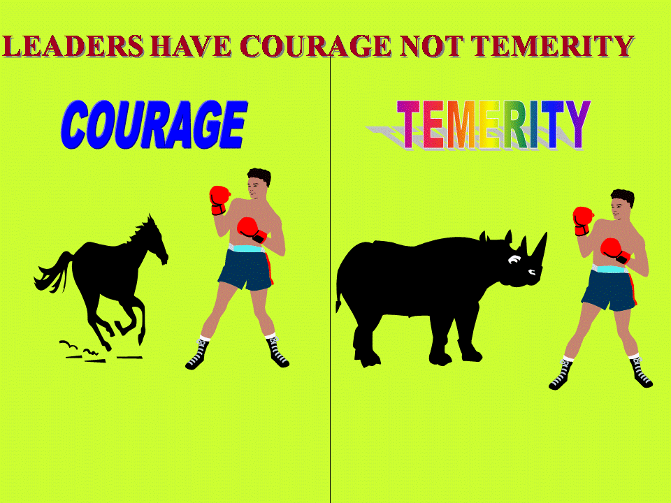 COURAGE VS TEMERITY -- LEADERSHIP BALANCE
