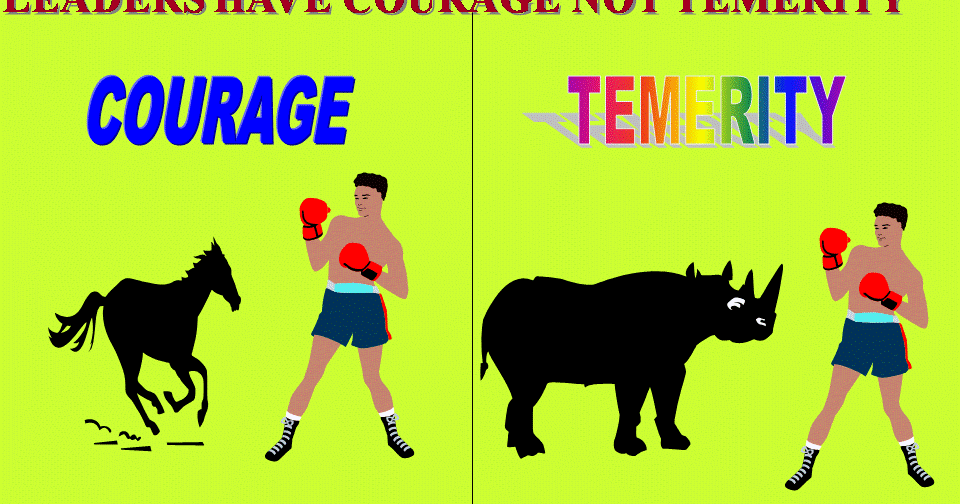 COURAGE VS TEMERITY -- LEADERSHIP BALANCE