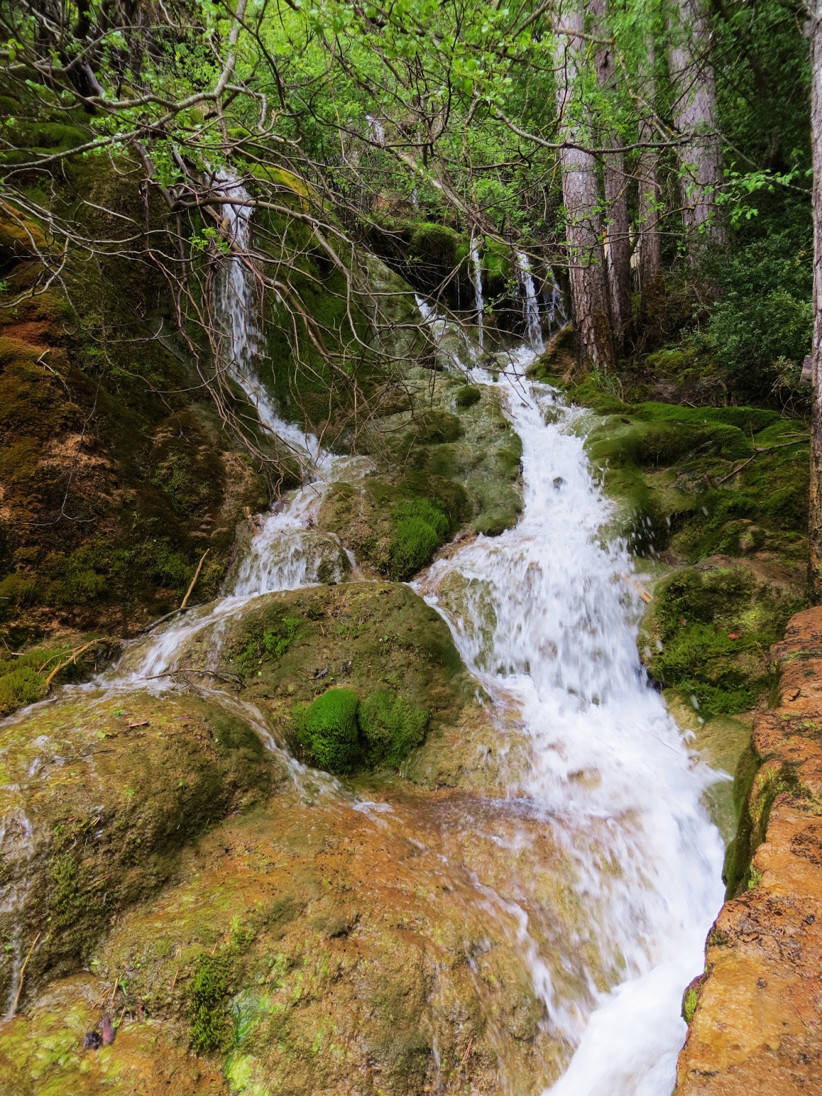 maricruzpe.a: Monumento Natural Nacimiento del Río Cuervo